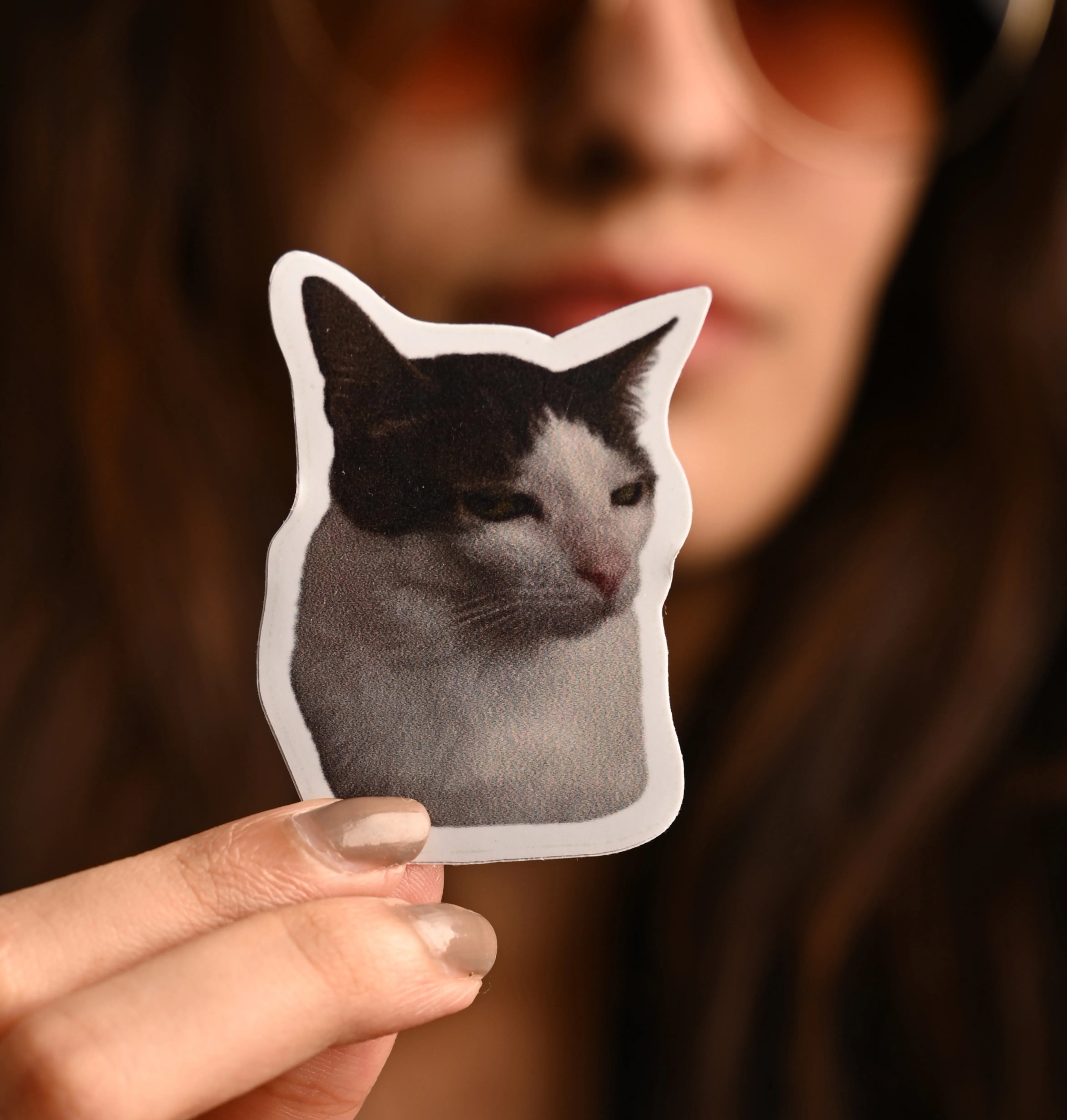 Buy Judgement Day Cat Sticker Online – StickerNStreets